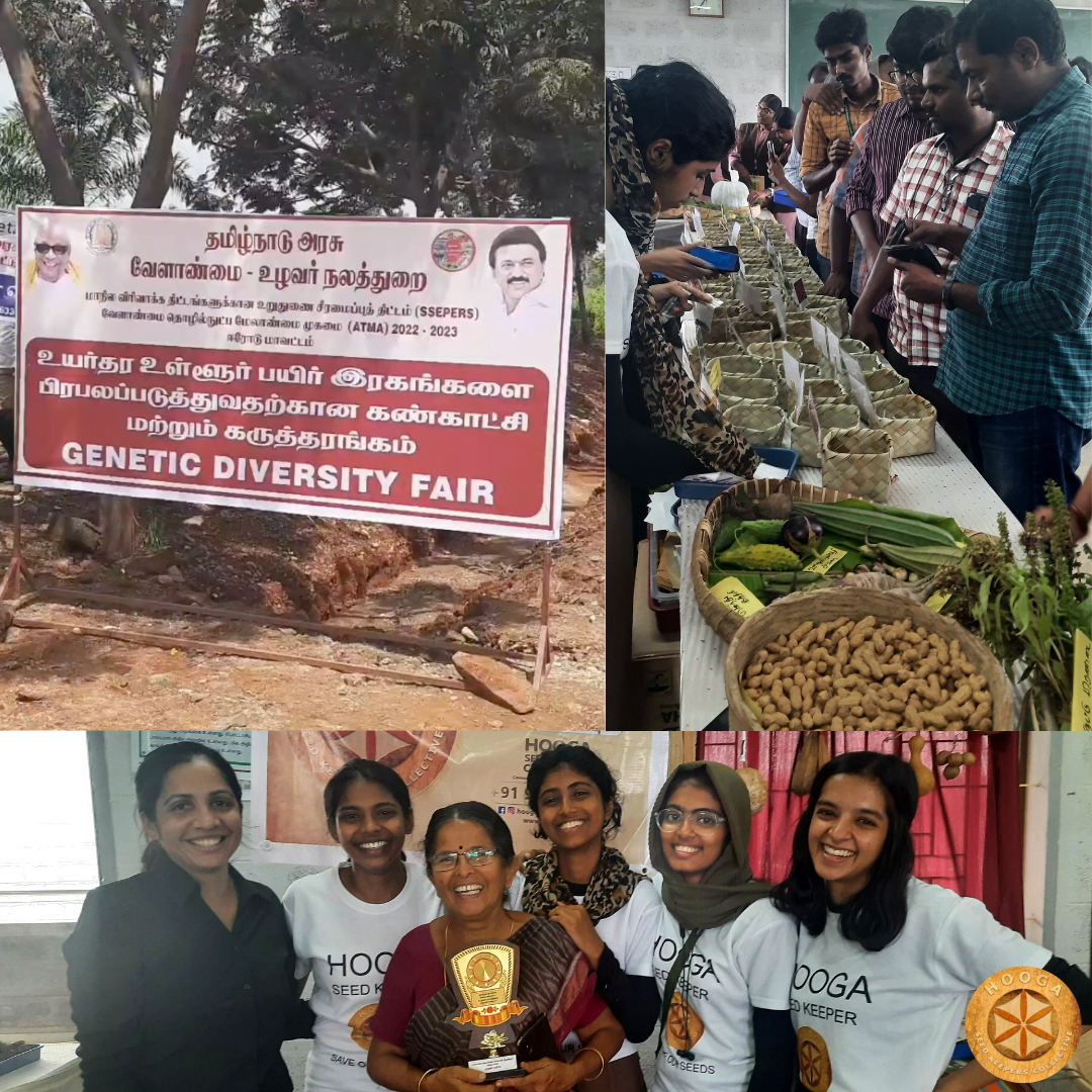 Genetic Diversity Fair - Hooga Seed Keepers Collective
